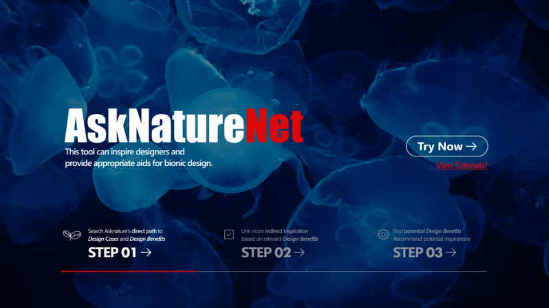 基于结构化知识的仿生设计创意激发工具 | D3Lab